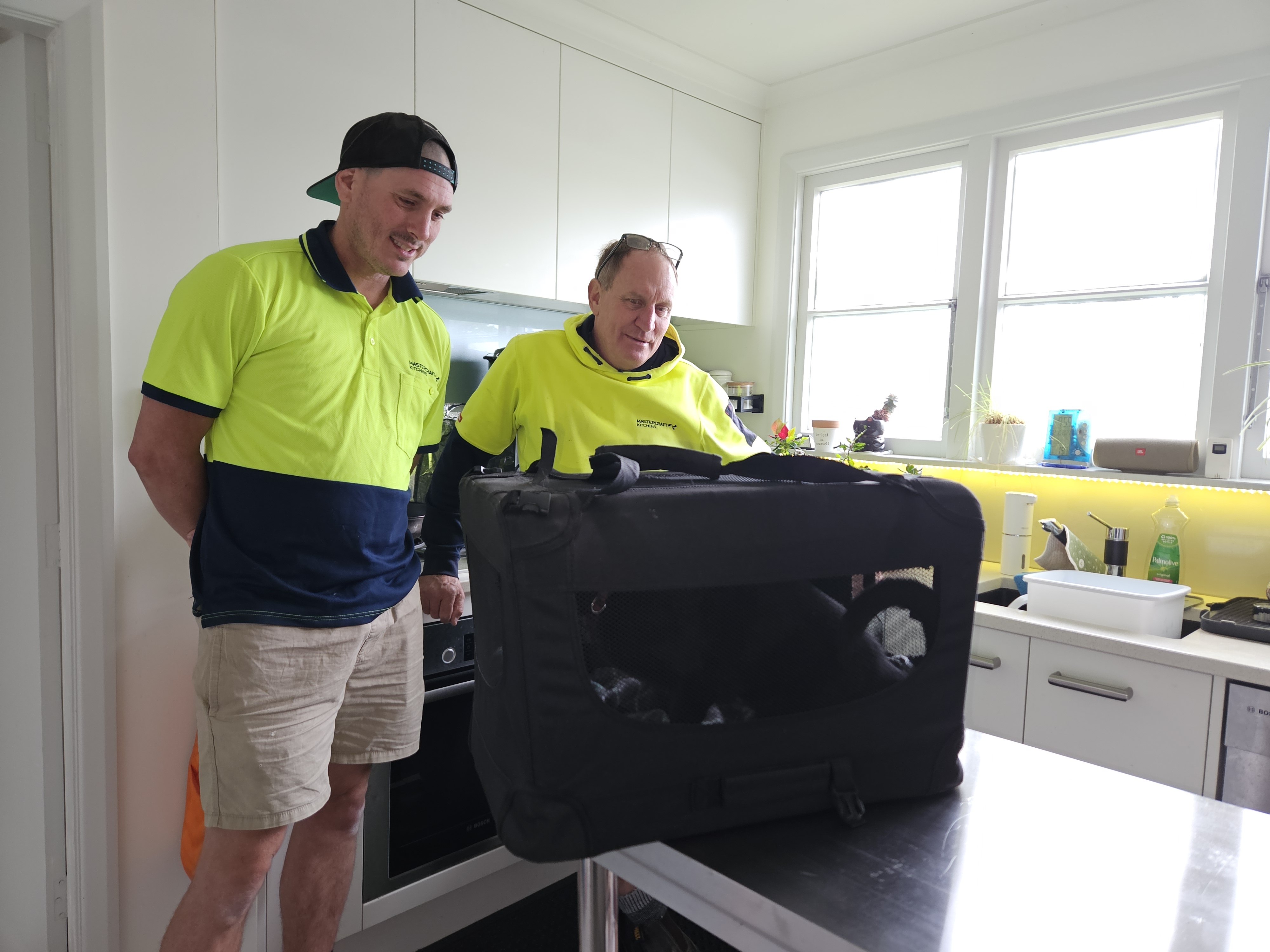 Kitty Kitty Kitchen Rescue